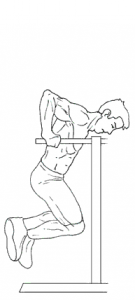 Parallel Bar Dips (Chest Dips) | gymJP.com