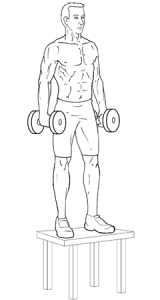 Dumbbell Step-Ups | gymJP.com